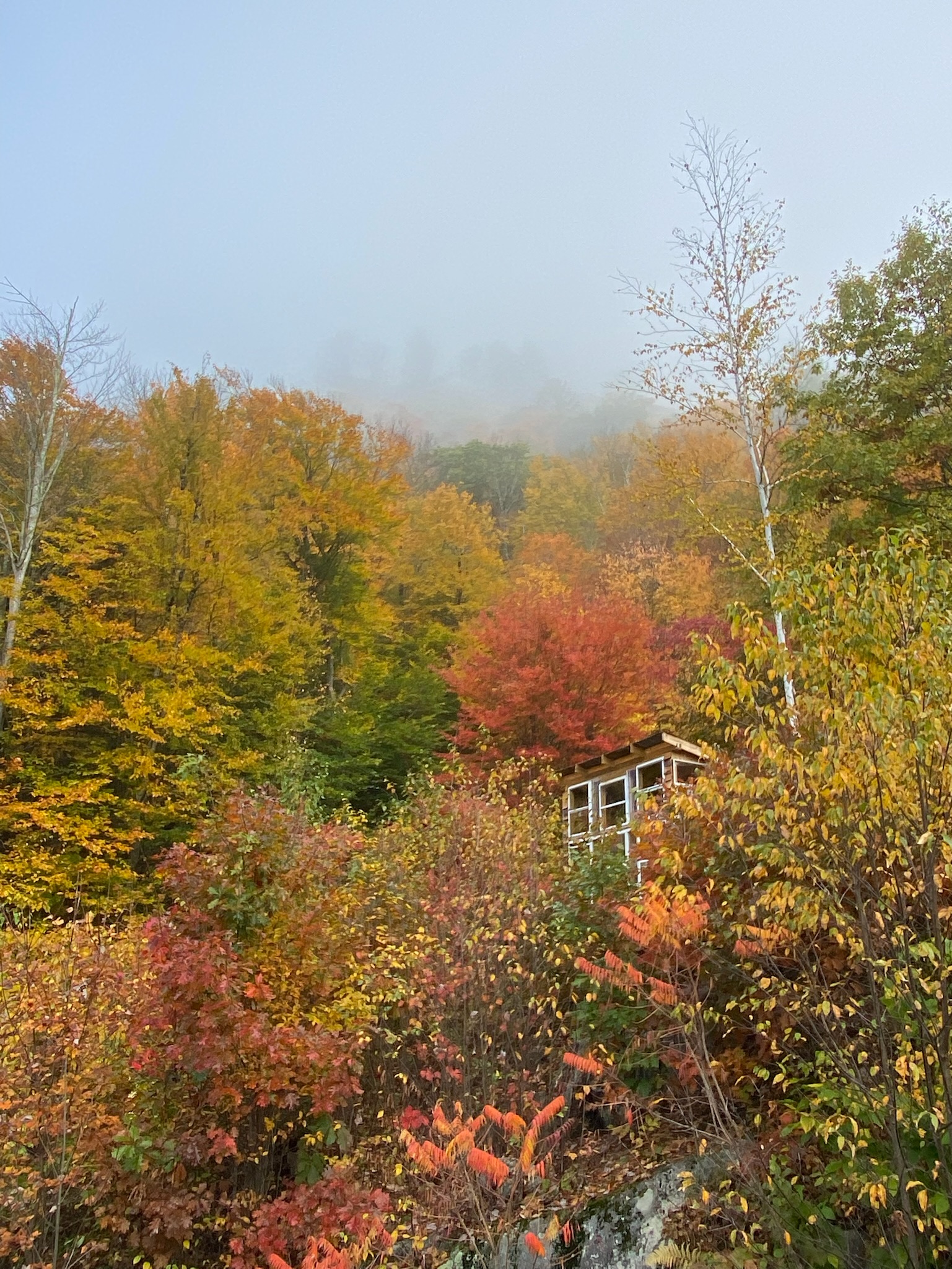 What qualifies as a homestead? - Homesteader Magazine